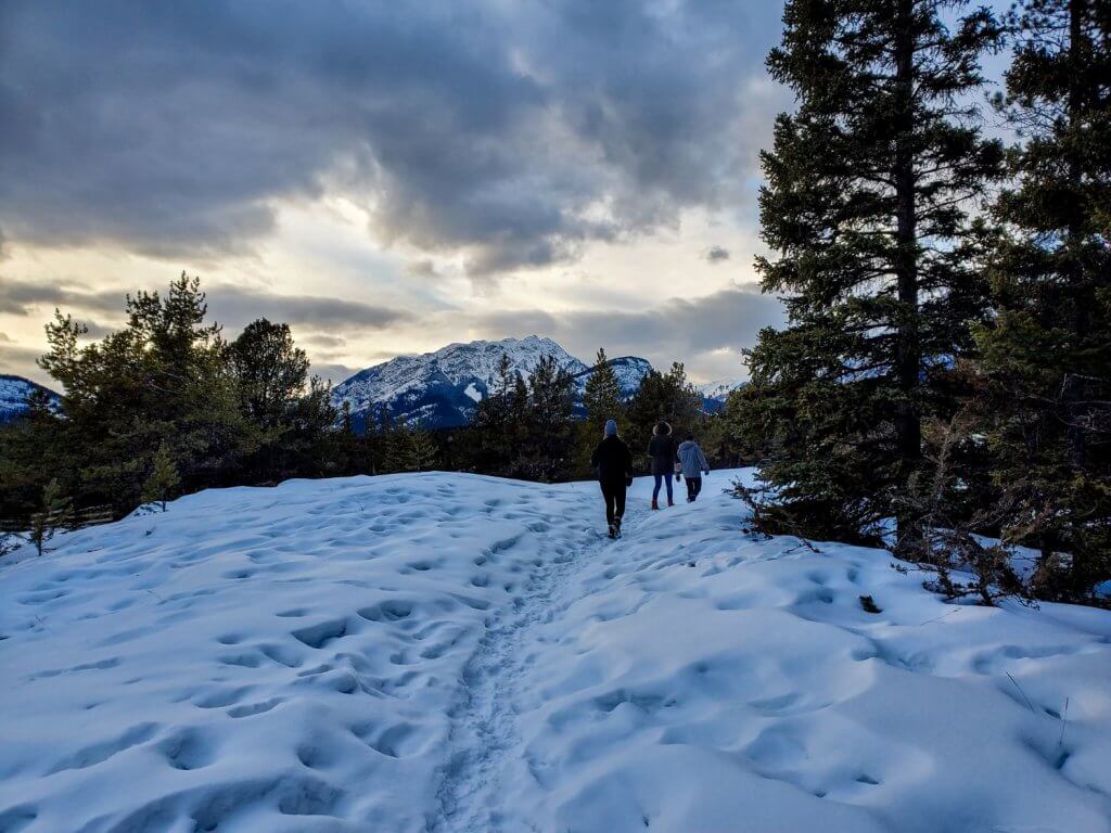 The Perfect Five Day Banff Winter Itinerary - Travanie Travels